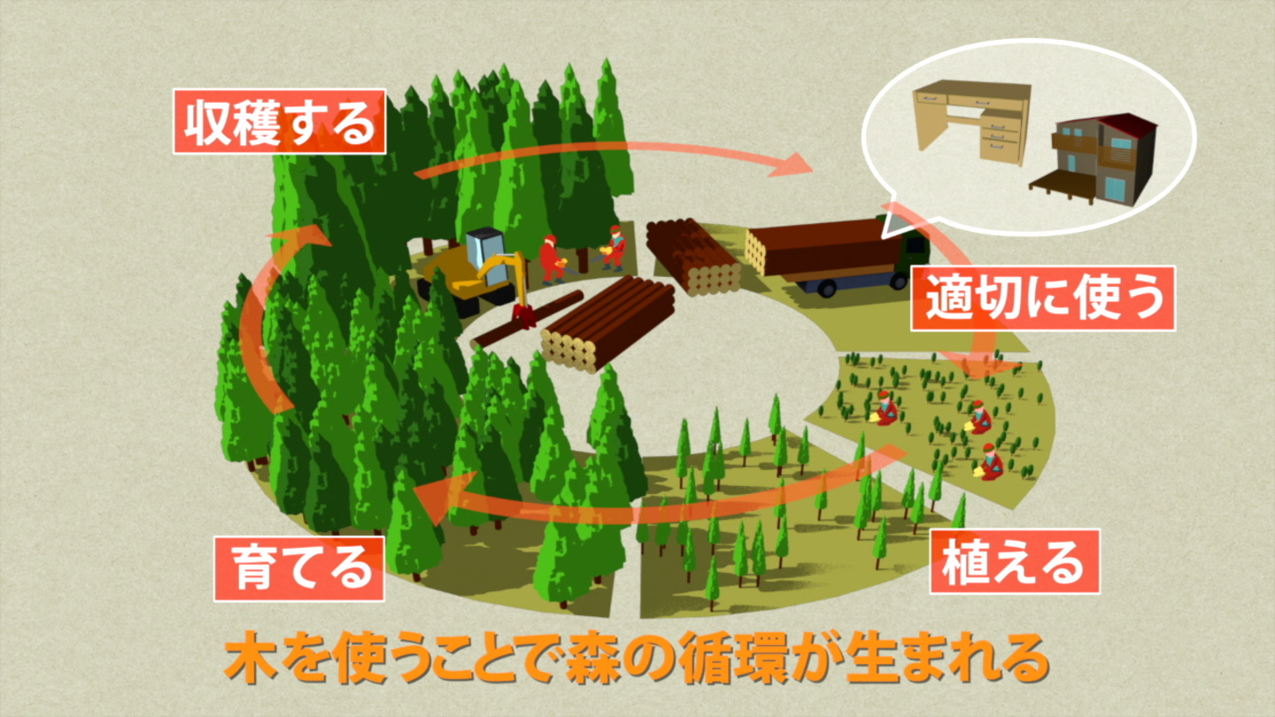 森を守るために大切なことは？ | SDGs.TV