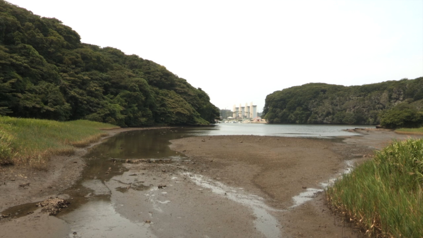 小網代の自然を守る人たちの活動 | SDGs.TV